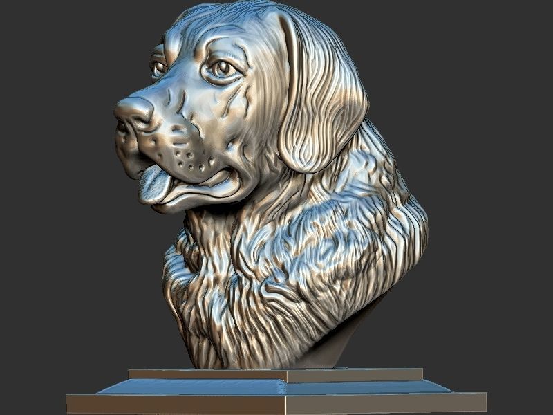 Labrador Dog Bust 3D model 3D printable | CGTrader