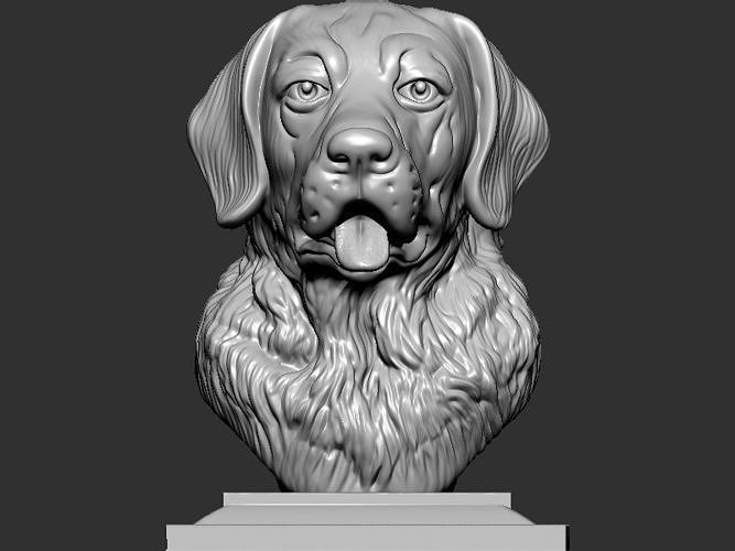 Labrador Dog Bust 3D model 3D printable | CGTrader