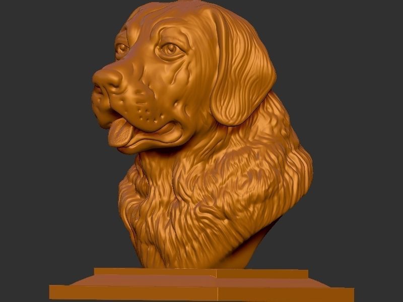 Labrador Dog Bust 3D model 3D printable | CGTrader