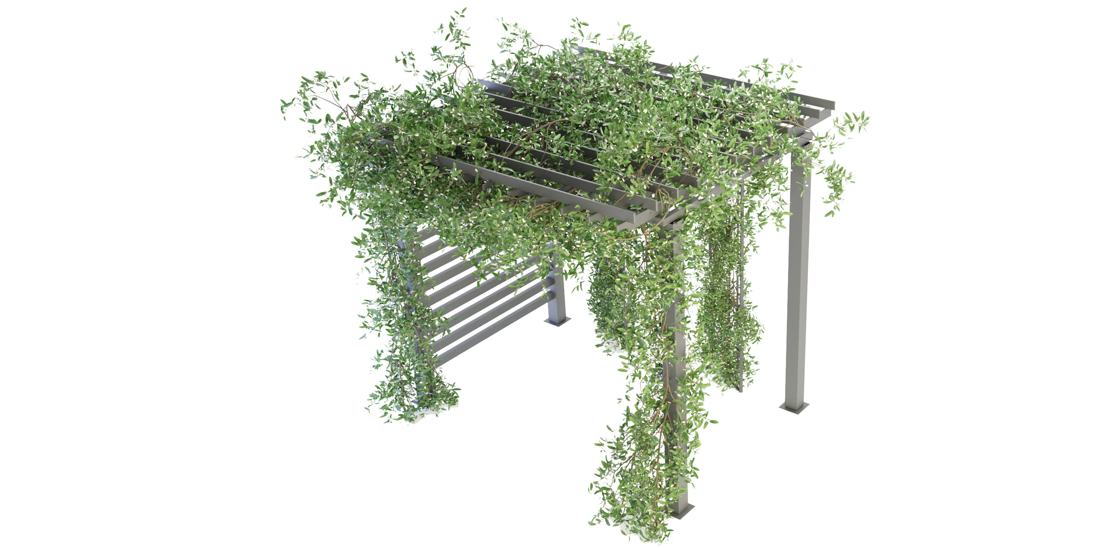 Collection plant vol 143 - blender model 3D model | CGTrader