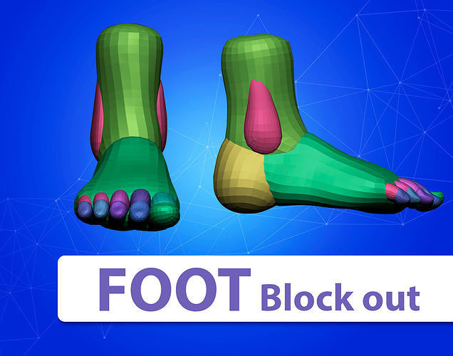 Base mesh foot block out 3D model | CGTrader