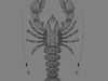Articulated Crawfish 3D model 3D model 3D printable | CGTrader