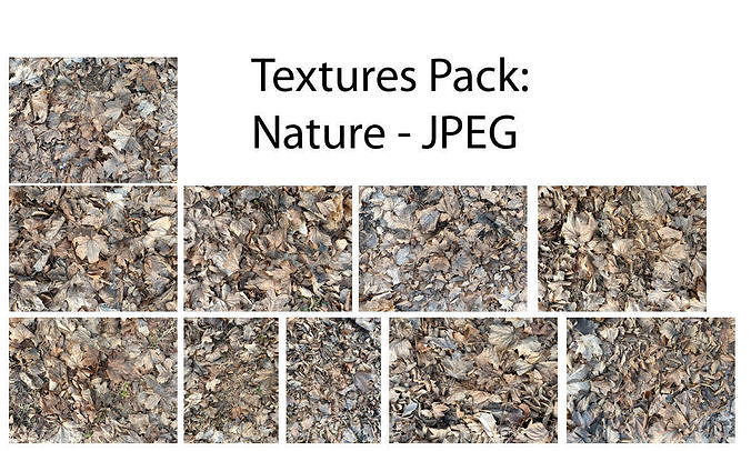 Nature Textures Pack 3 Texture | CGTrader