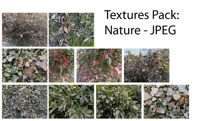Nature Textures Pack 4 Texture | CGTrader