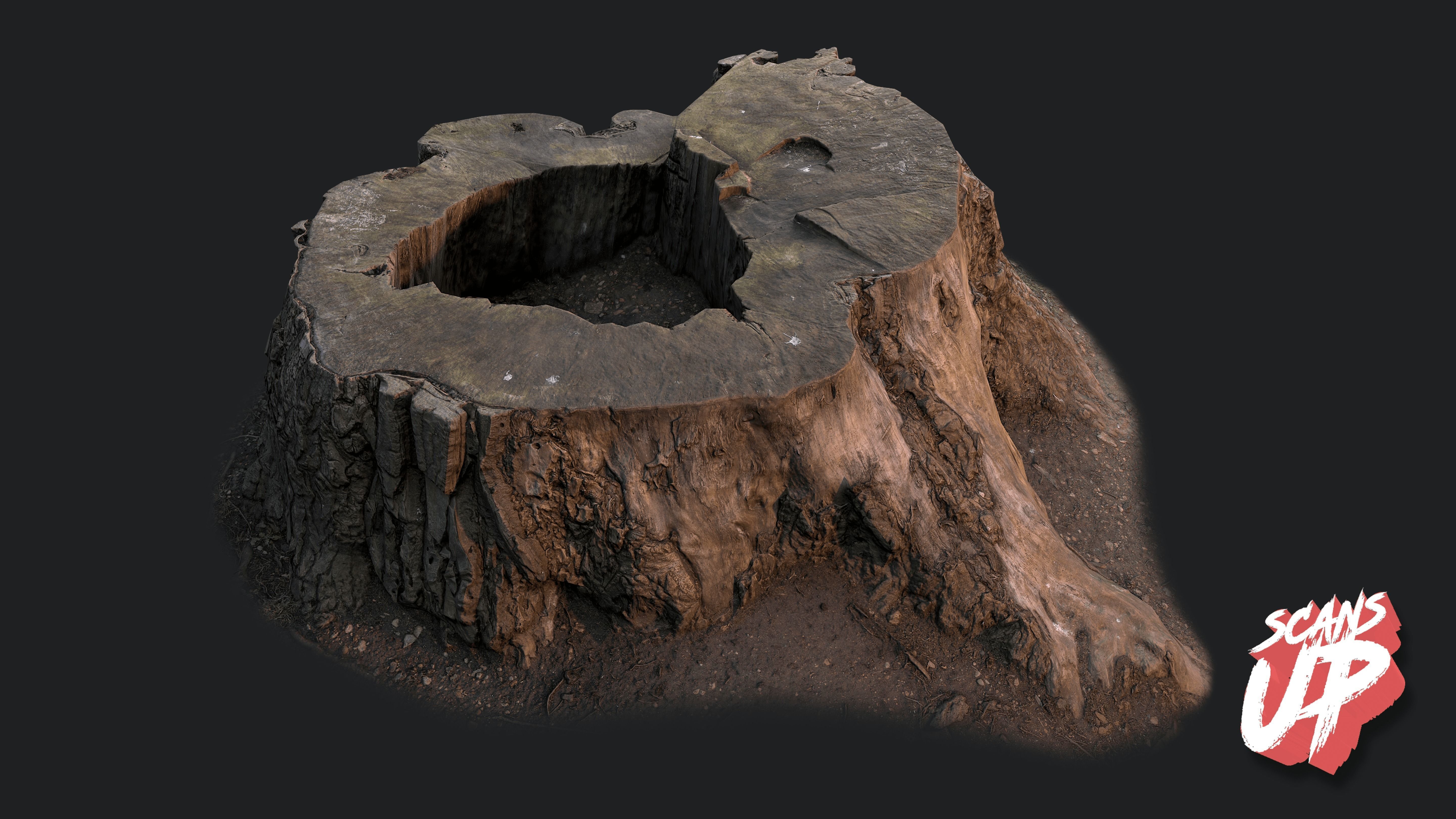 3D model Tree Stump 01 - Stonelake3D VR / AR / low-poly | CGTrader