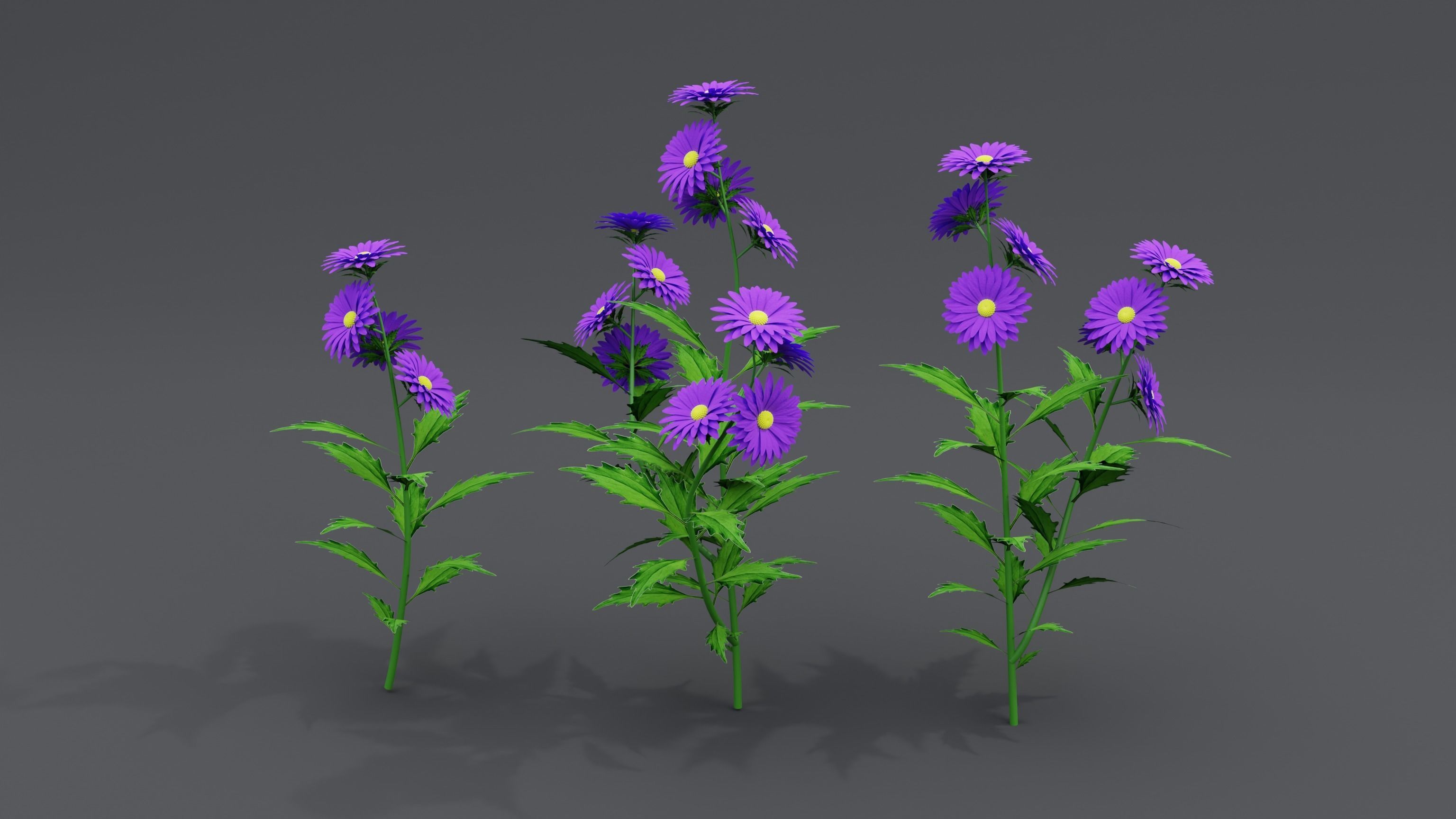 3d Flower Plant 3D model | CGTrader