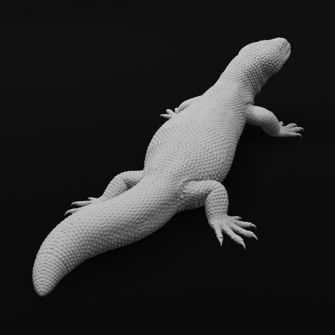Gila Monster Lizard Realistc Venomous Reptile 3D Print Model 3D model ...