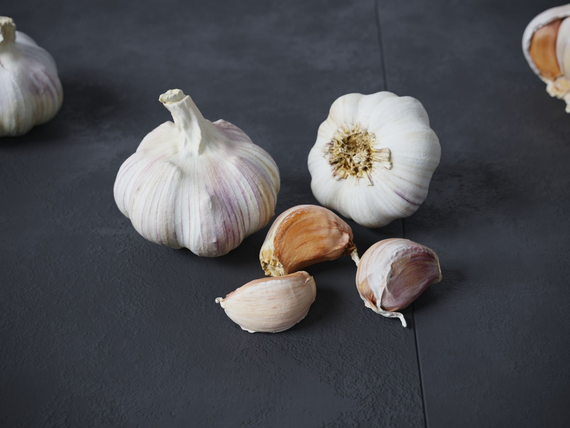 Garlic 3D model | CGTrader