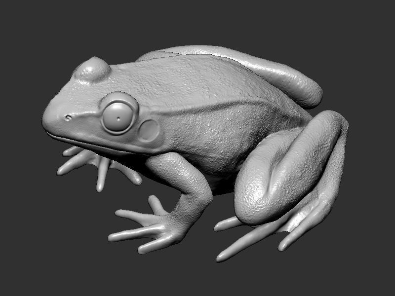 Frog model 3D model 3D printable | CGTrader