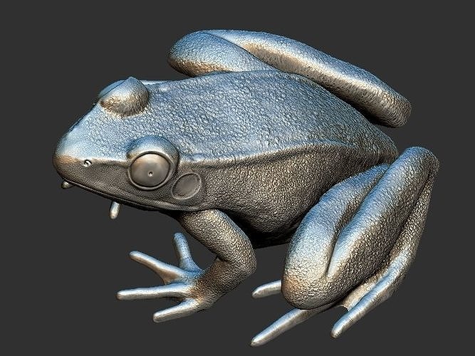 Frog model 3D model 3D printable | CGTrader