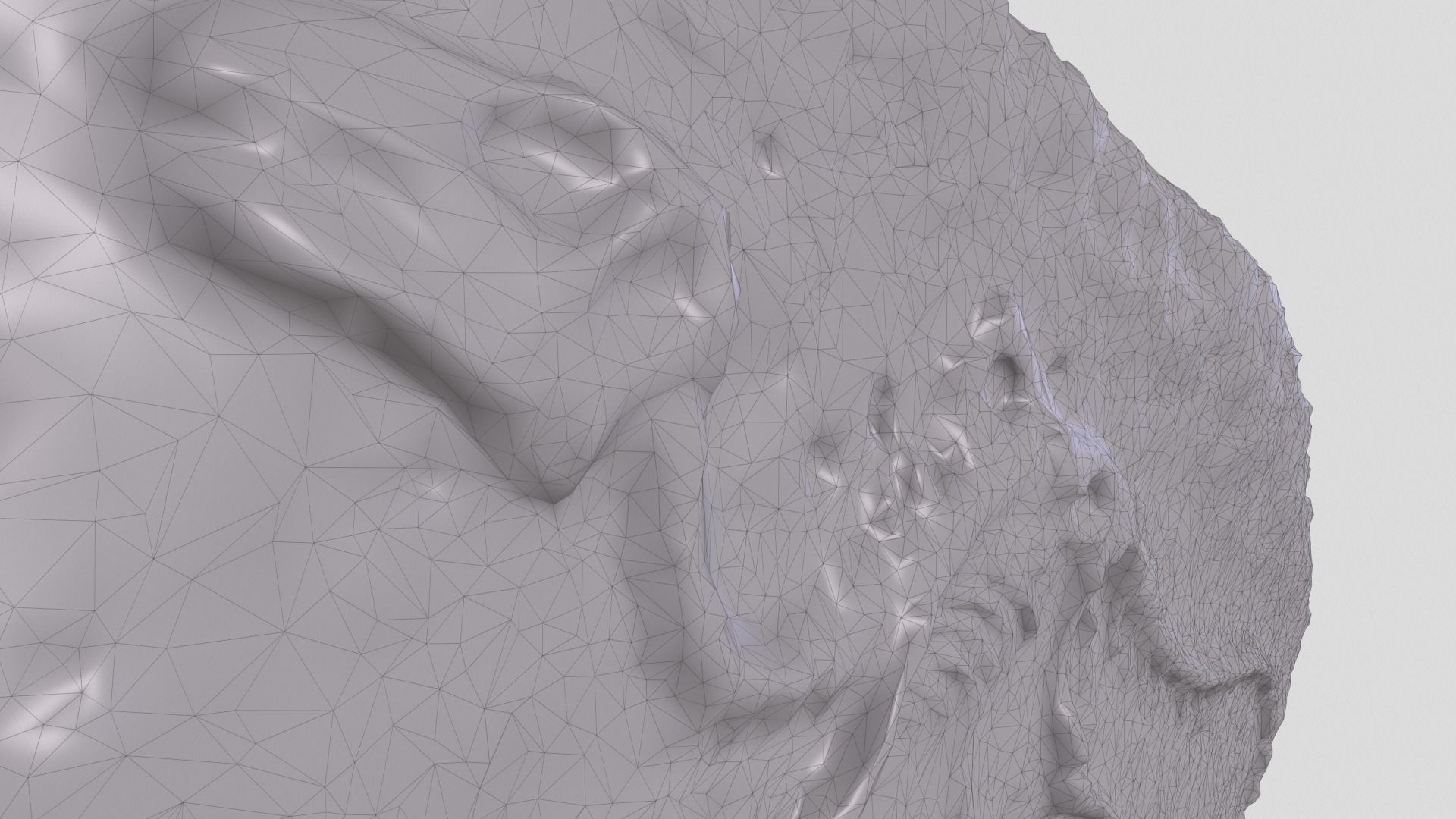 dinosaur fossil 3D model | CGTrader