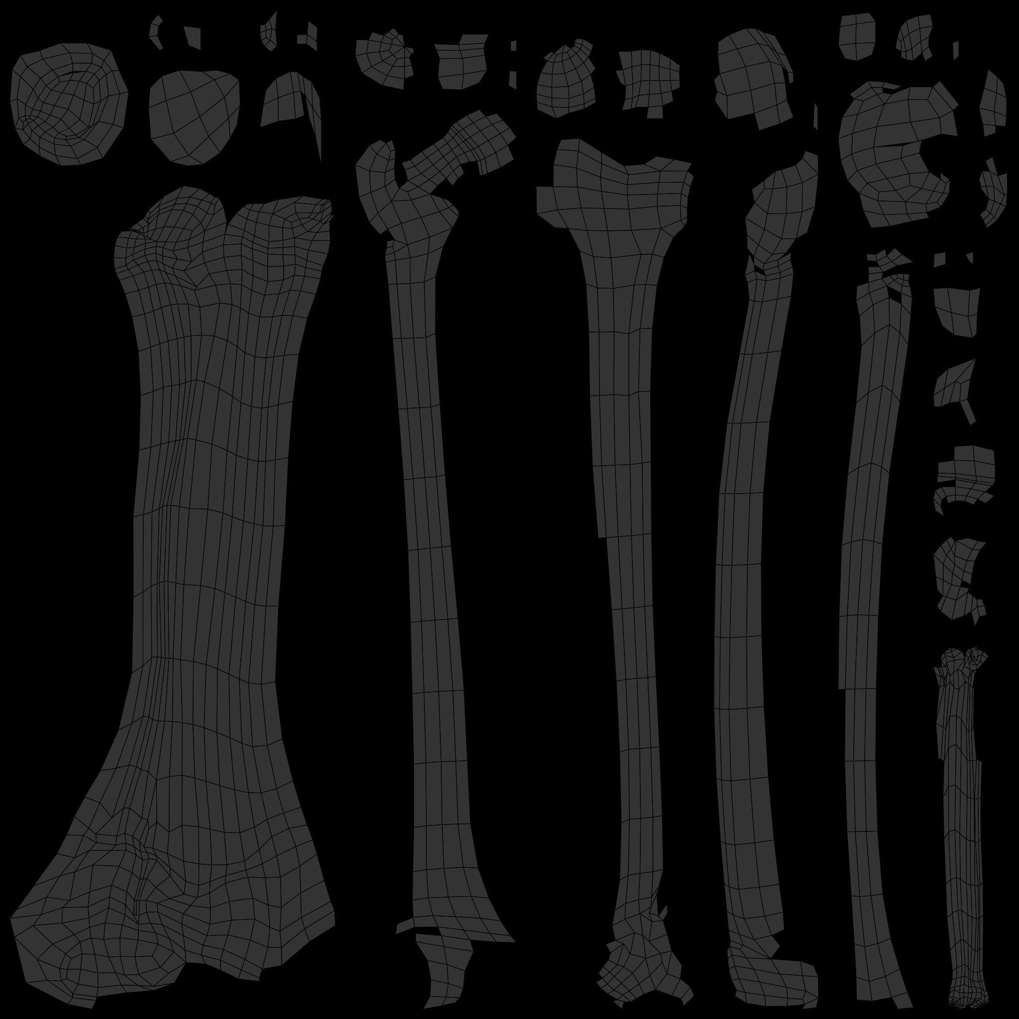 3D model Knee anatomy template VR / AR / low-poly | CGTrader