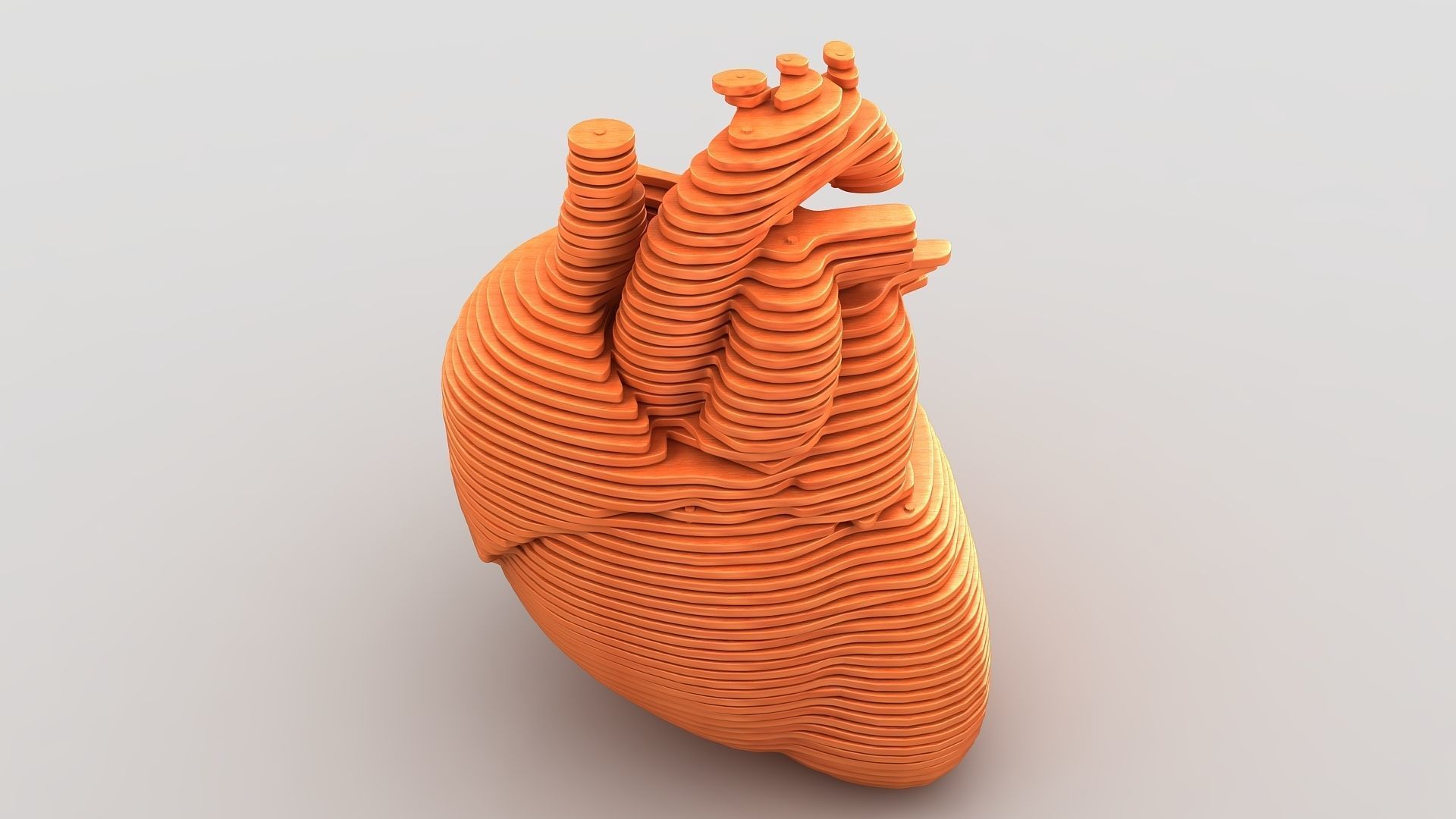Parametric Human Heart Models 3D model | CGTrader