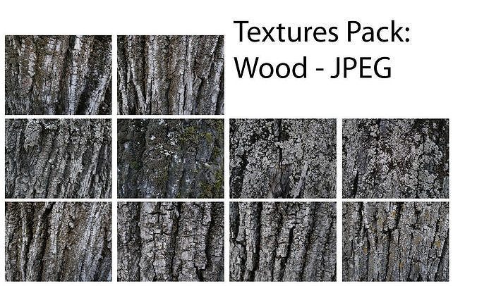 Wood Textures Pack 6 Texture | CGTrader