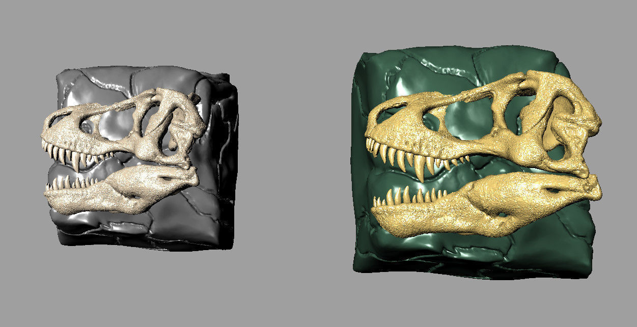 dinosaur fossils 3D model 3D printable | CGTrader