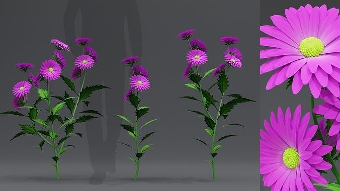 3d Flower Plant 3D model | CGTrader