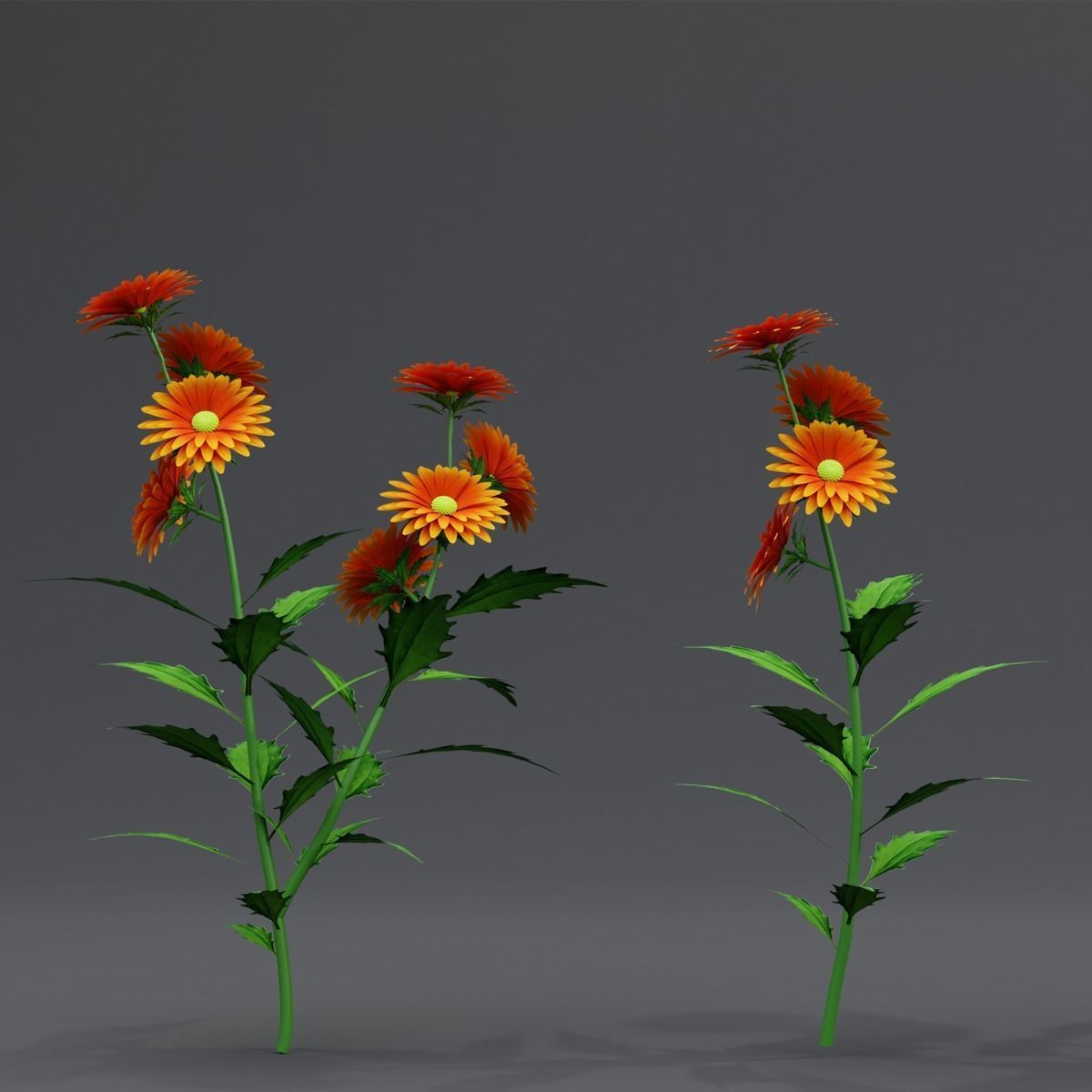 3d Flower Plant 3D model | CGTrader