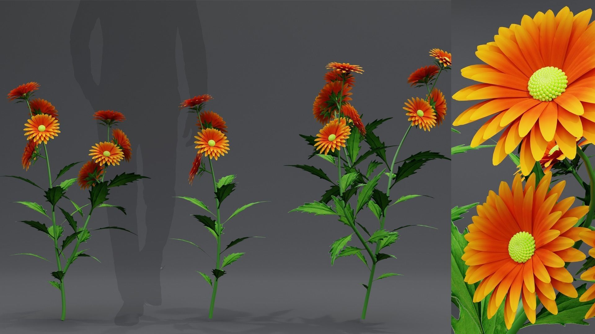 3d Flower Plant 3D model | CGTrader