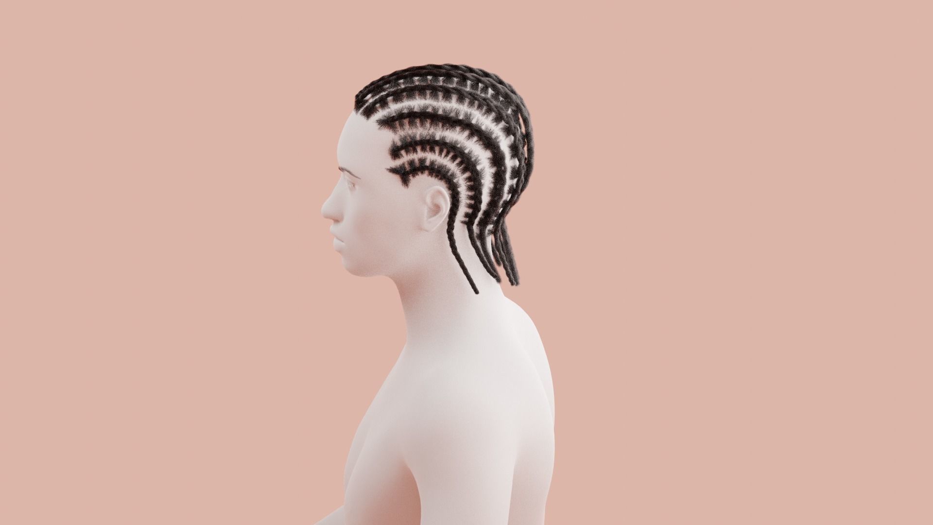 Cornrow Braids 3D model | CGTrader