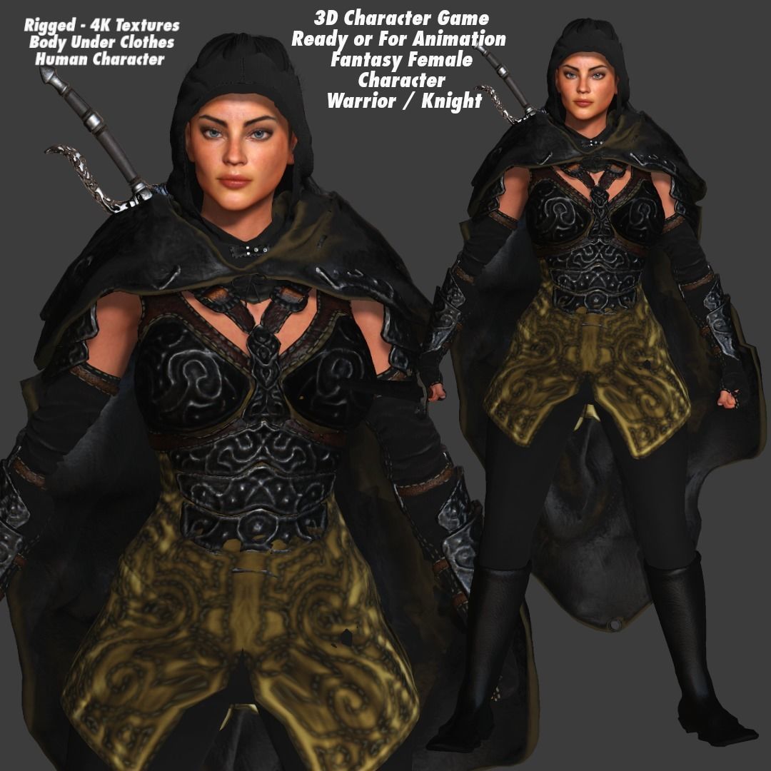 3D model AAA 3D FANTASY FEMALE ASSASSIN - REALISTIC RIG GAME CHARACTER ...