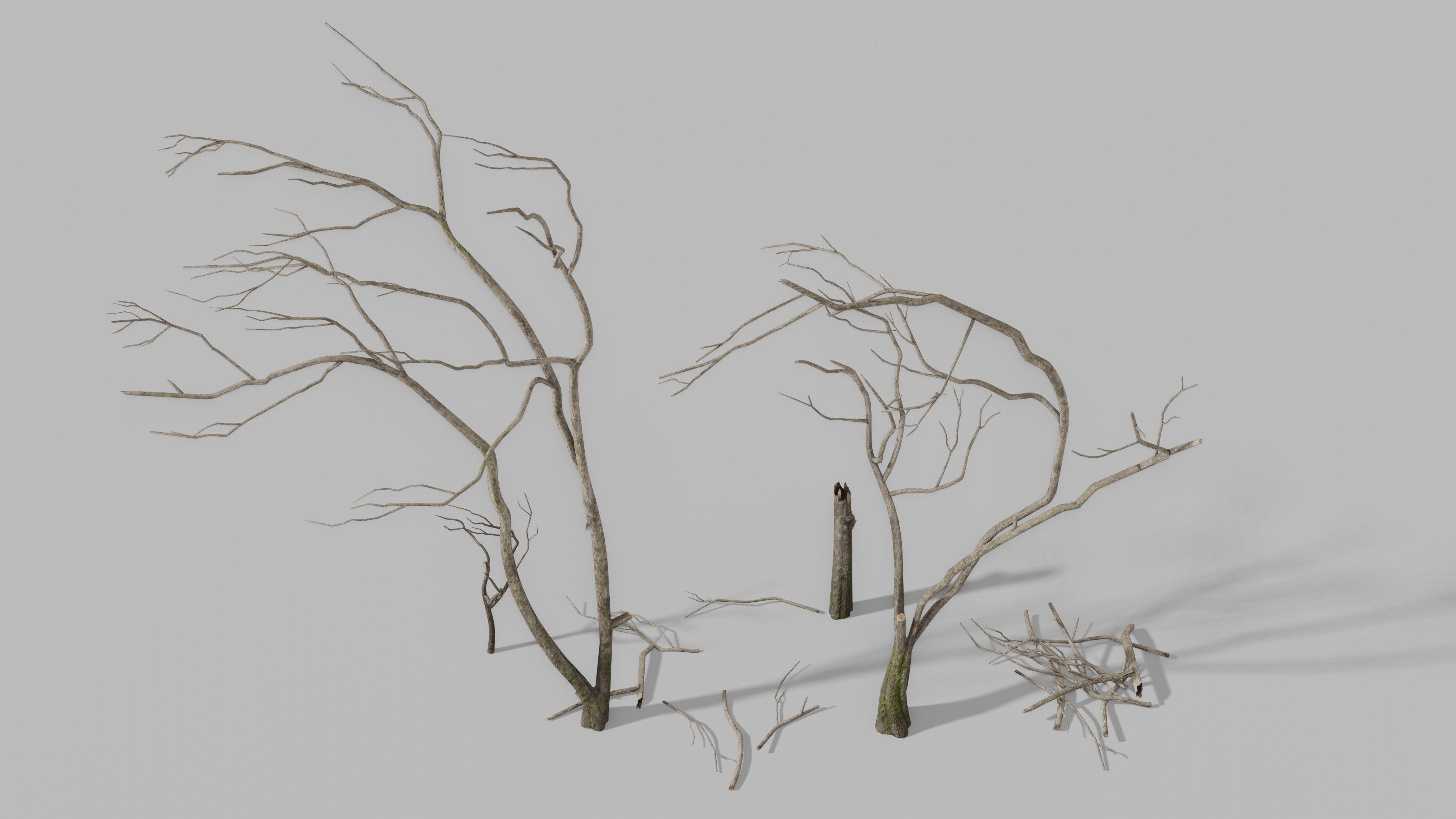 3D model Dead trees and branches VR / AR / low-poly | CGTrader