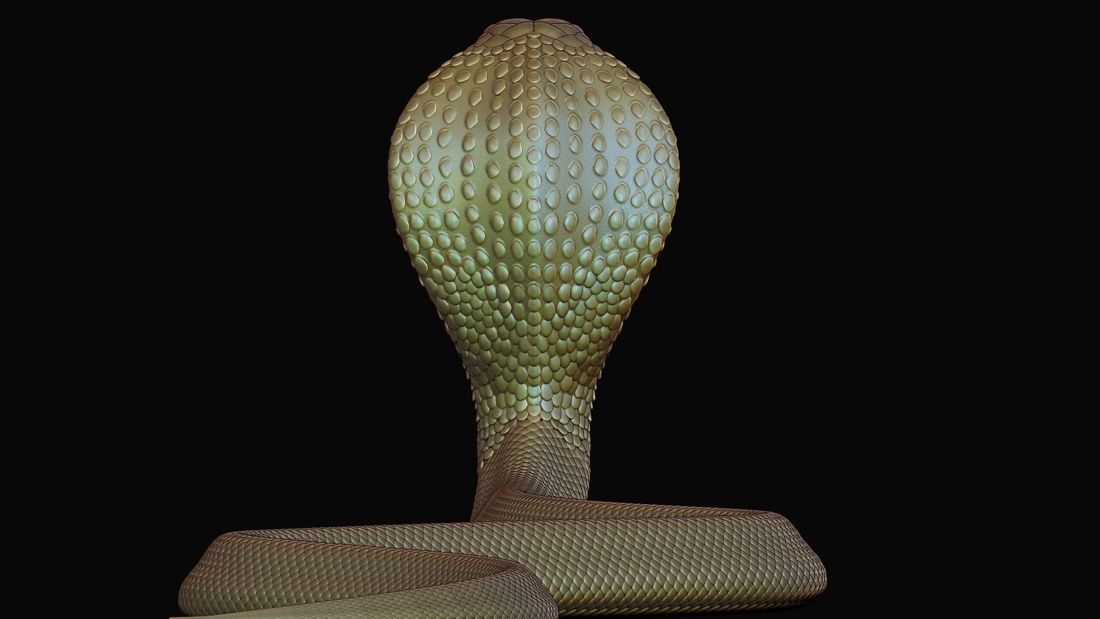 Kobra snake 3d model 3D model 3D printable | CGTrader