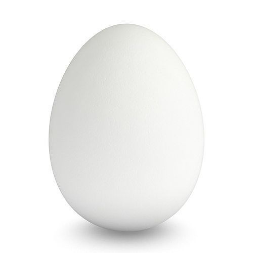 Egg 3d Models free VR / AR / low-poly 3D model animated | CGTrader