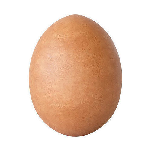 Egg 3d Models free VR / AR / low-poly 3D model animated | CGTrader