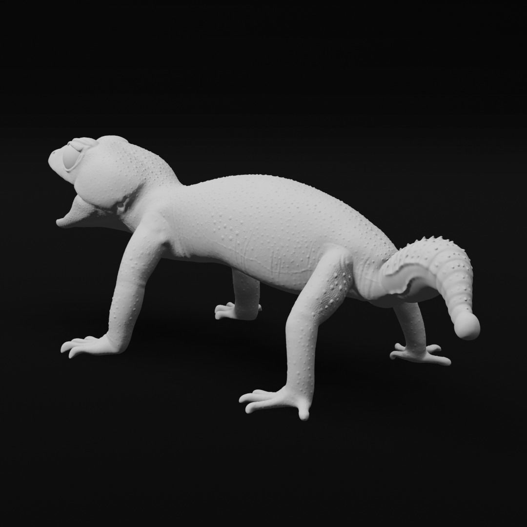 Pernatty Knob Tailed Gecko Nephrurus Deleani 3D model 3D printable ...