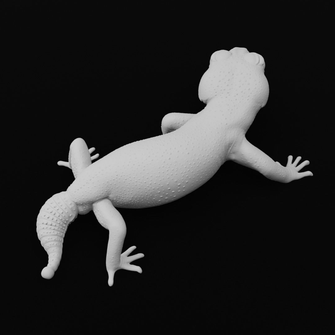 Pernatty Knob Tailed Gecko Nephrurus Deleani 3D model 3D printable ...