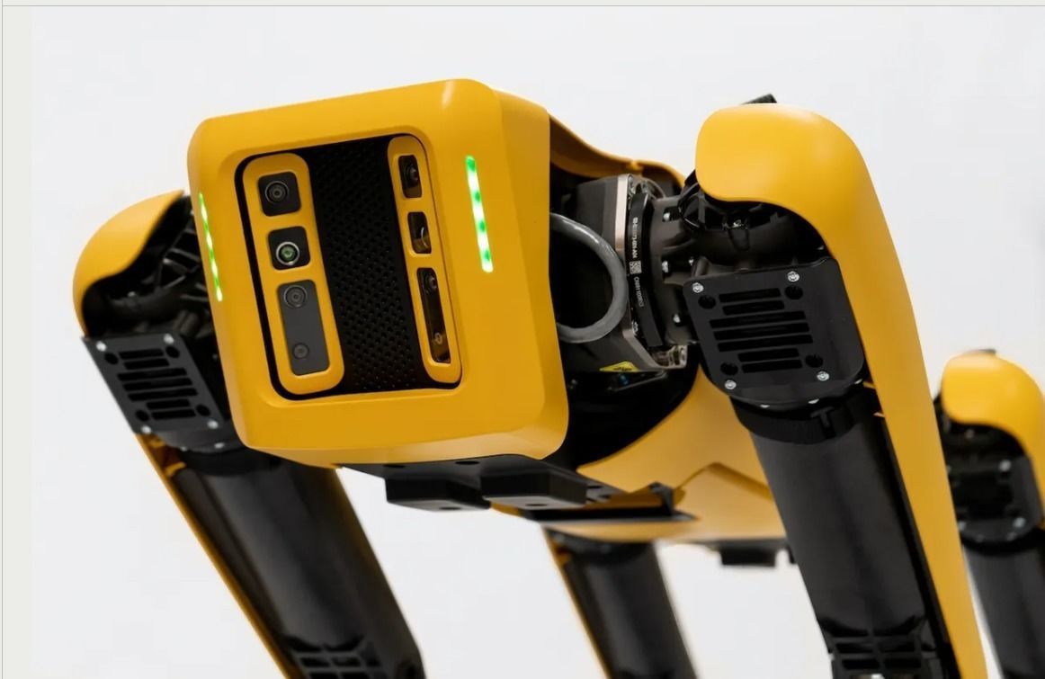 Spot Boston Dynamics 3D model | CGTrader