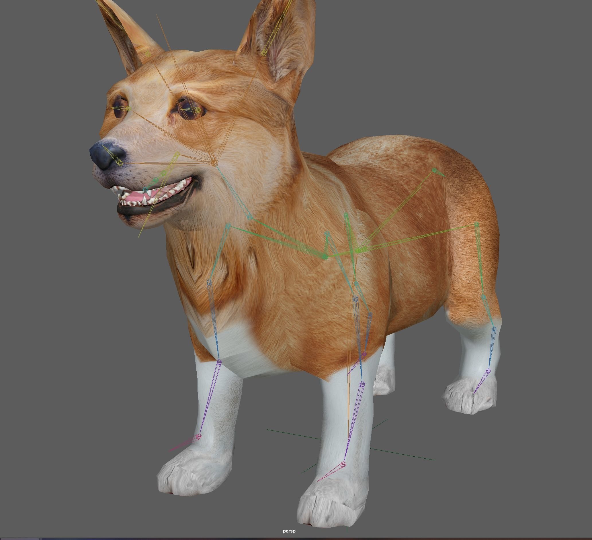 3D model Corgi - Dog VR / AR / low-poly | CGTrader