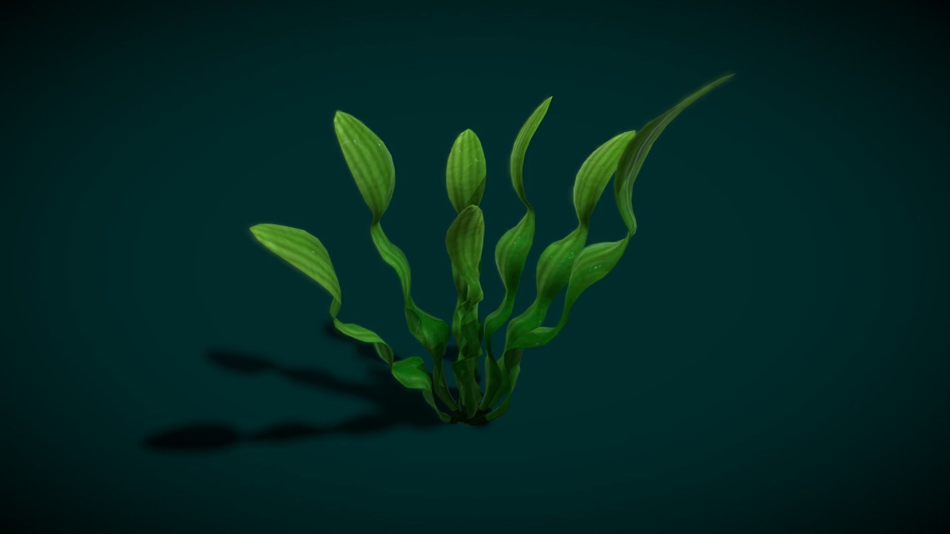 3D model Cartoon Seaweed 10 VR / AR / low-poly | CGTrader