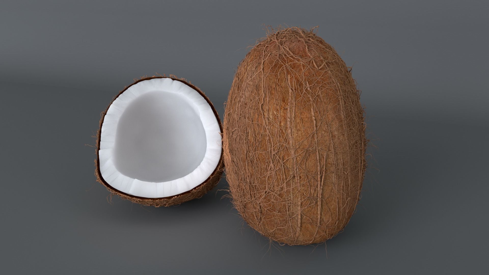 coconut model coconut pulp 3D model | CGTrader