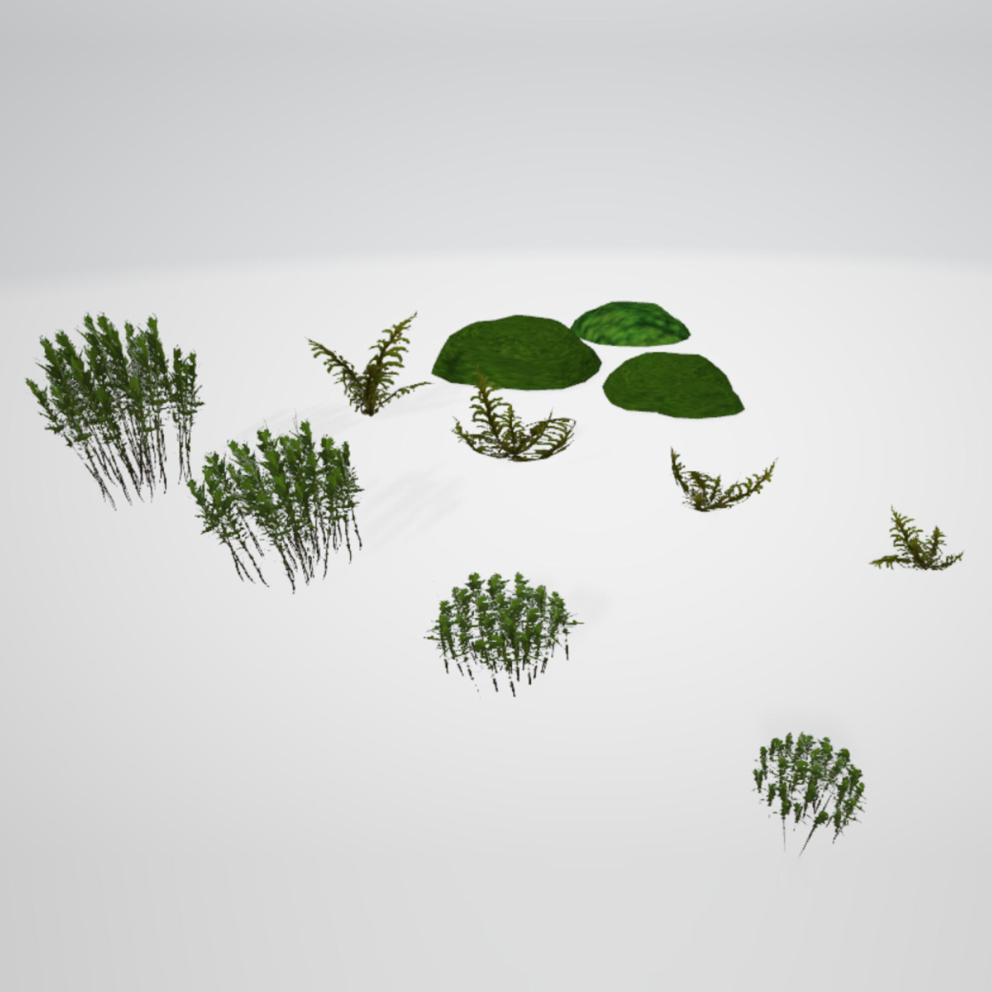 3D model Moss Realistic Pack VR / AR / low-poly | CGTrader