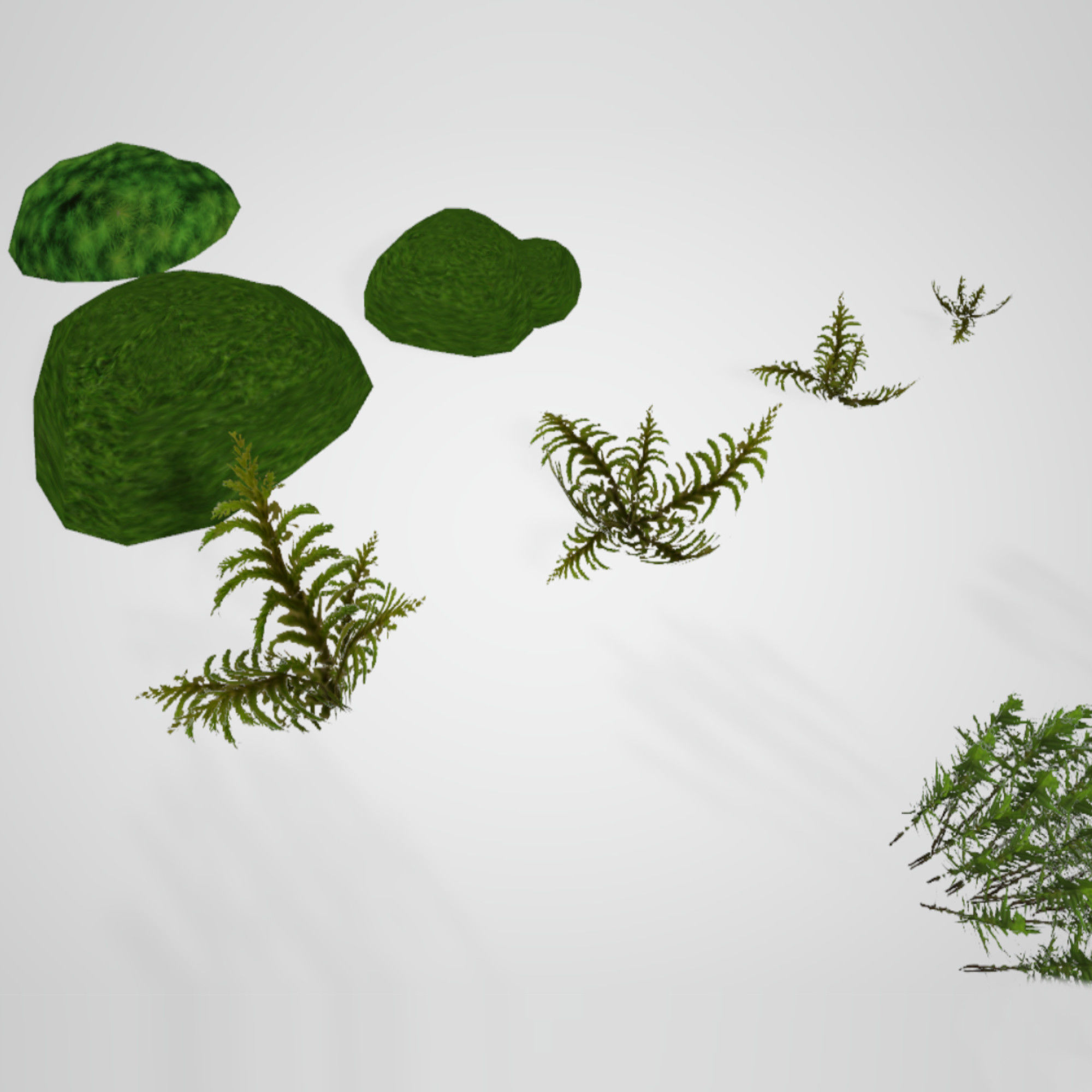 3D model Moss Realistic Pack VR / AR / low-poly | CGTrader