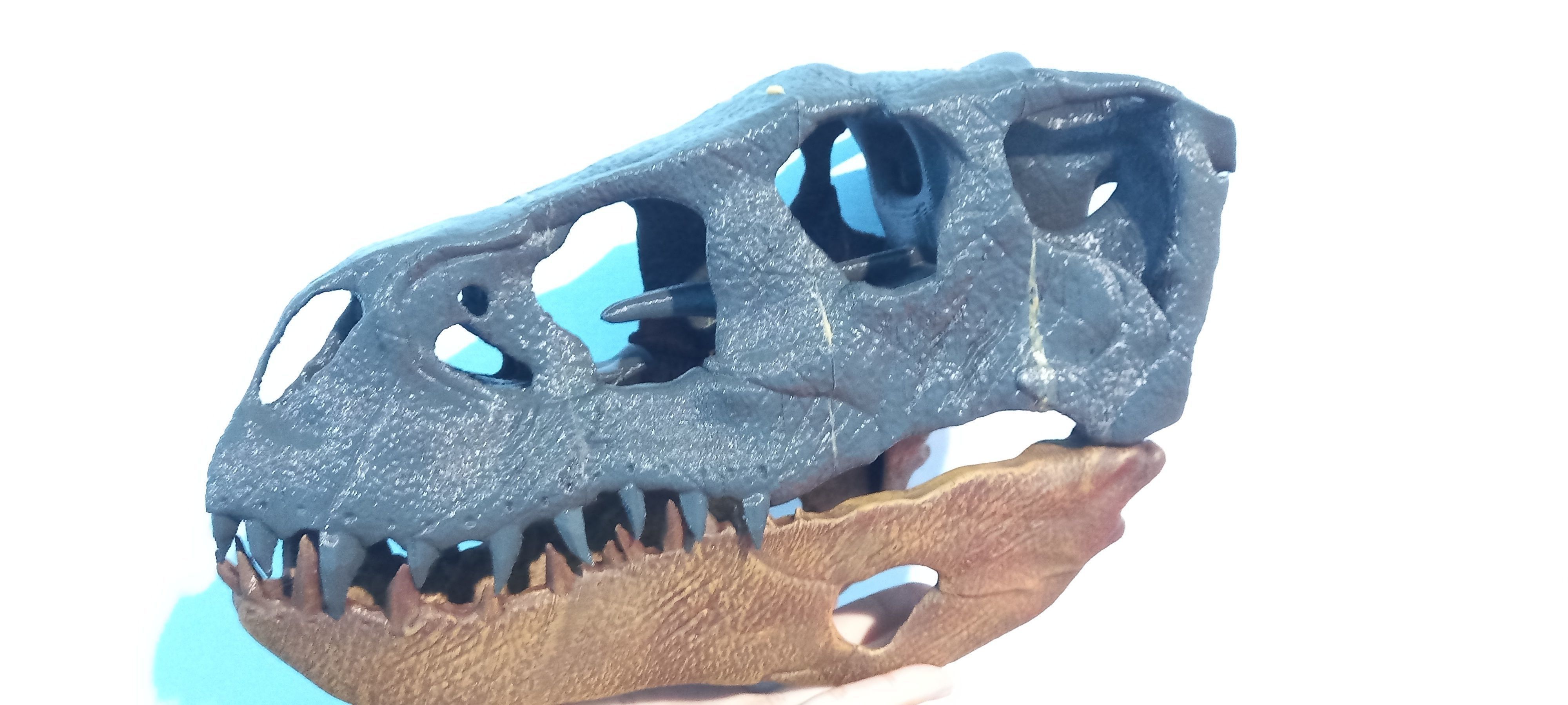 Indoraptor skull 3d print 3D model 3D printable | CGTrader