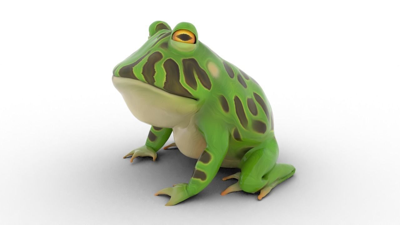 3D model stylized frog animation VR / AR / low-poly | CGTrader