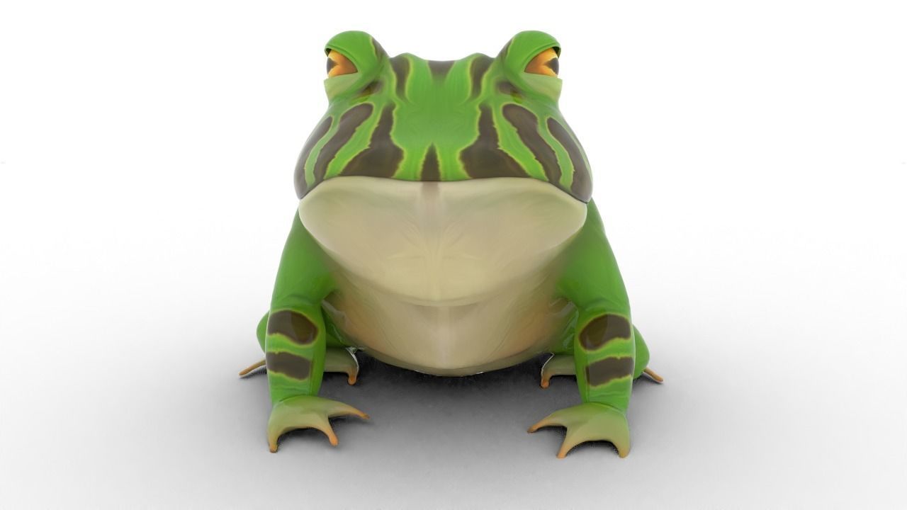 3D model stylized frog animation VR / AR / low-poly | CGTrader
