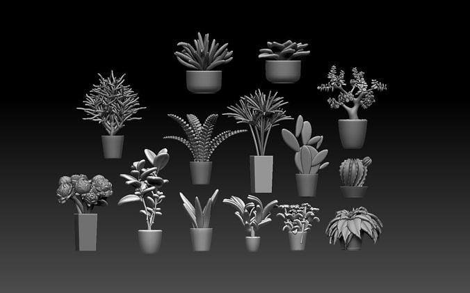 plants home 3D model 3D printable | CGTrader