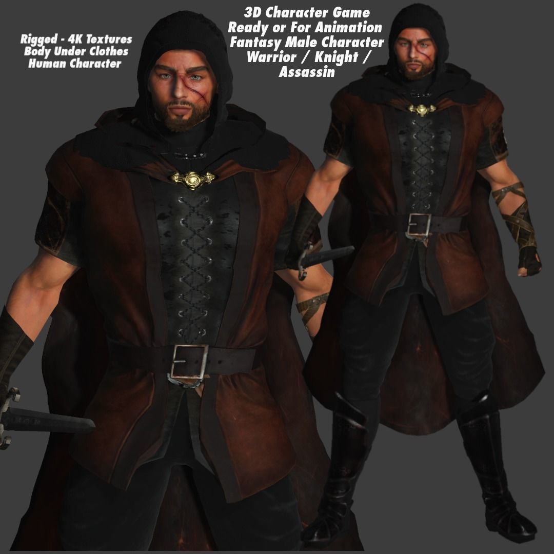 3D model AAA 3D FANTASY MALE ASSASSIN CHARACTER-REALISTIC RIG GAME ...