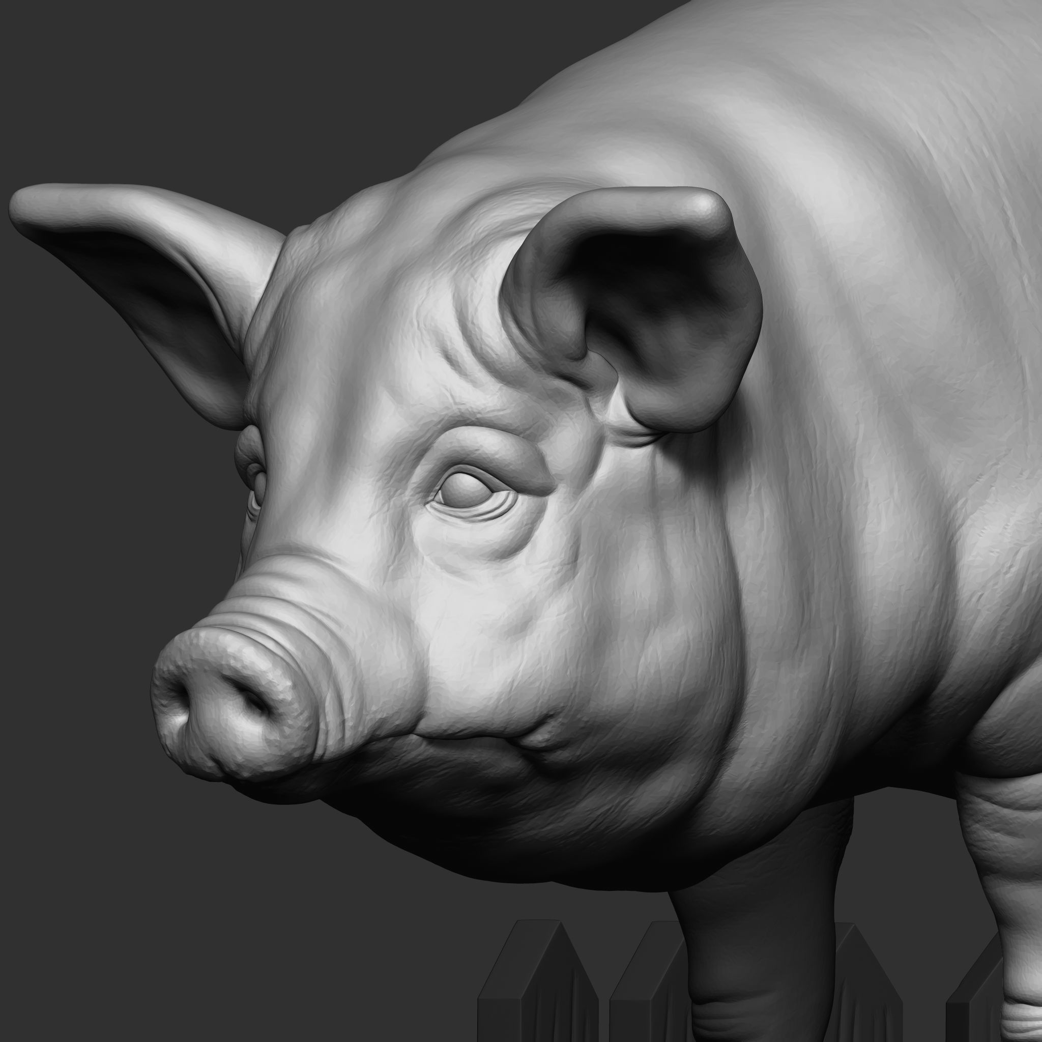 PIG 3d print model free 3D model 3D printable | CGTrader