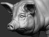 PIG 3d print model free 3D model 3D printable | CGTrader