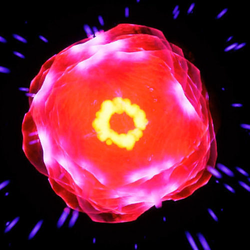 3D model Unreal engine 5 particles flower FX animation VR / AR / low ...