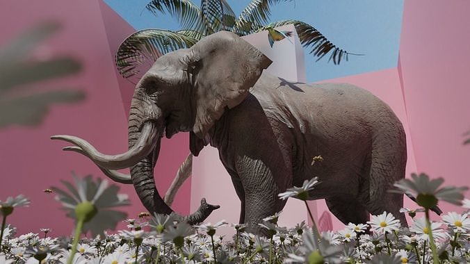 3D model Elephant Scenes Blender VR / AR / low-poly | CGTrader