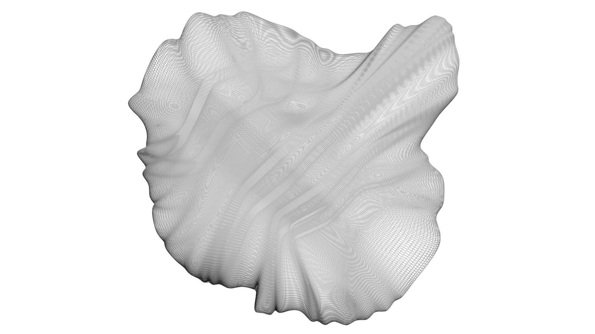 Chicken Brain 3D model | CGTrader