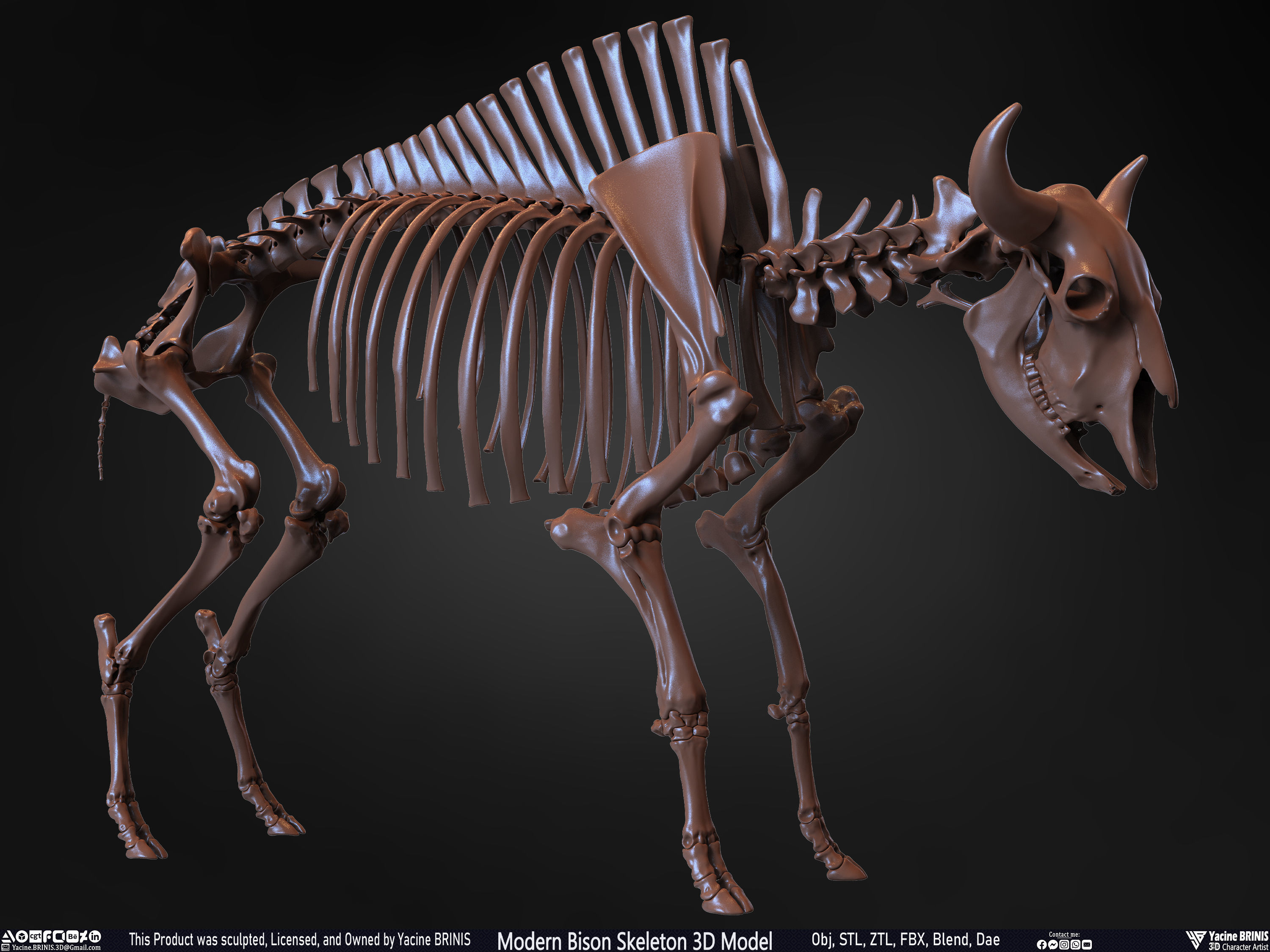 3D model Modern Bison Skeleton 3D Model VR / AR / low-poly | CGTrader