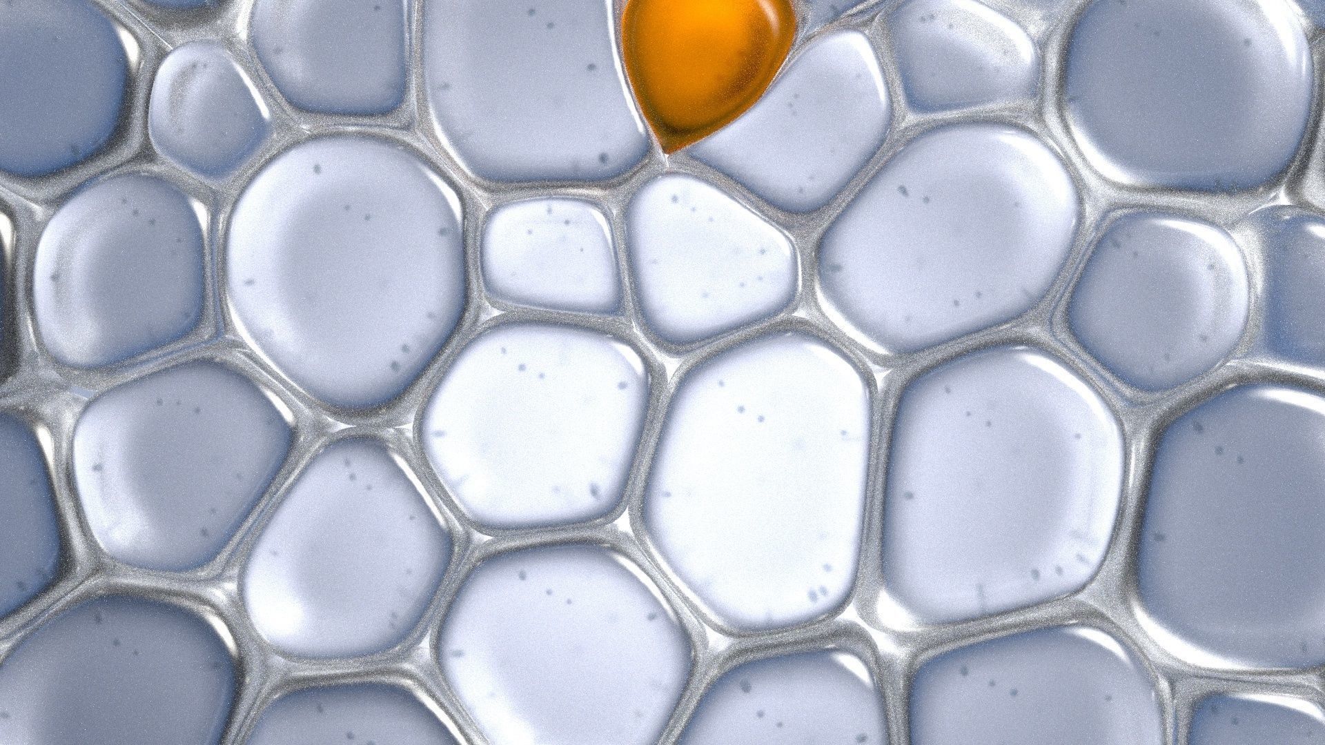 Skin Cells 3D model animated | CGTrader