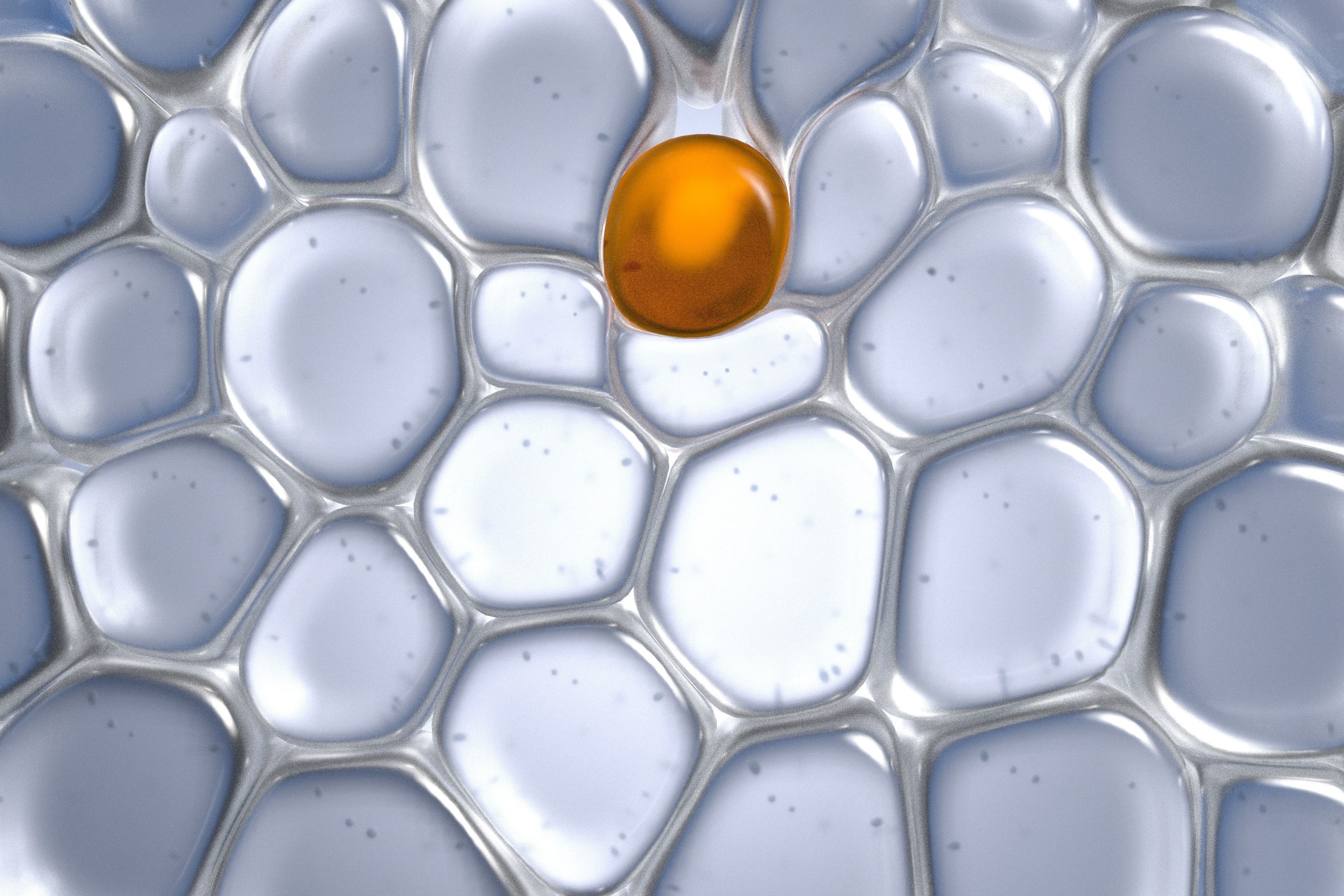 Skin Cells 3D model animated | CGTrader