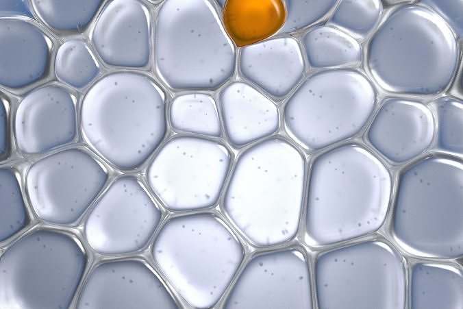 Skin Cells 3D model animated | CGTrader